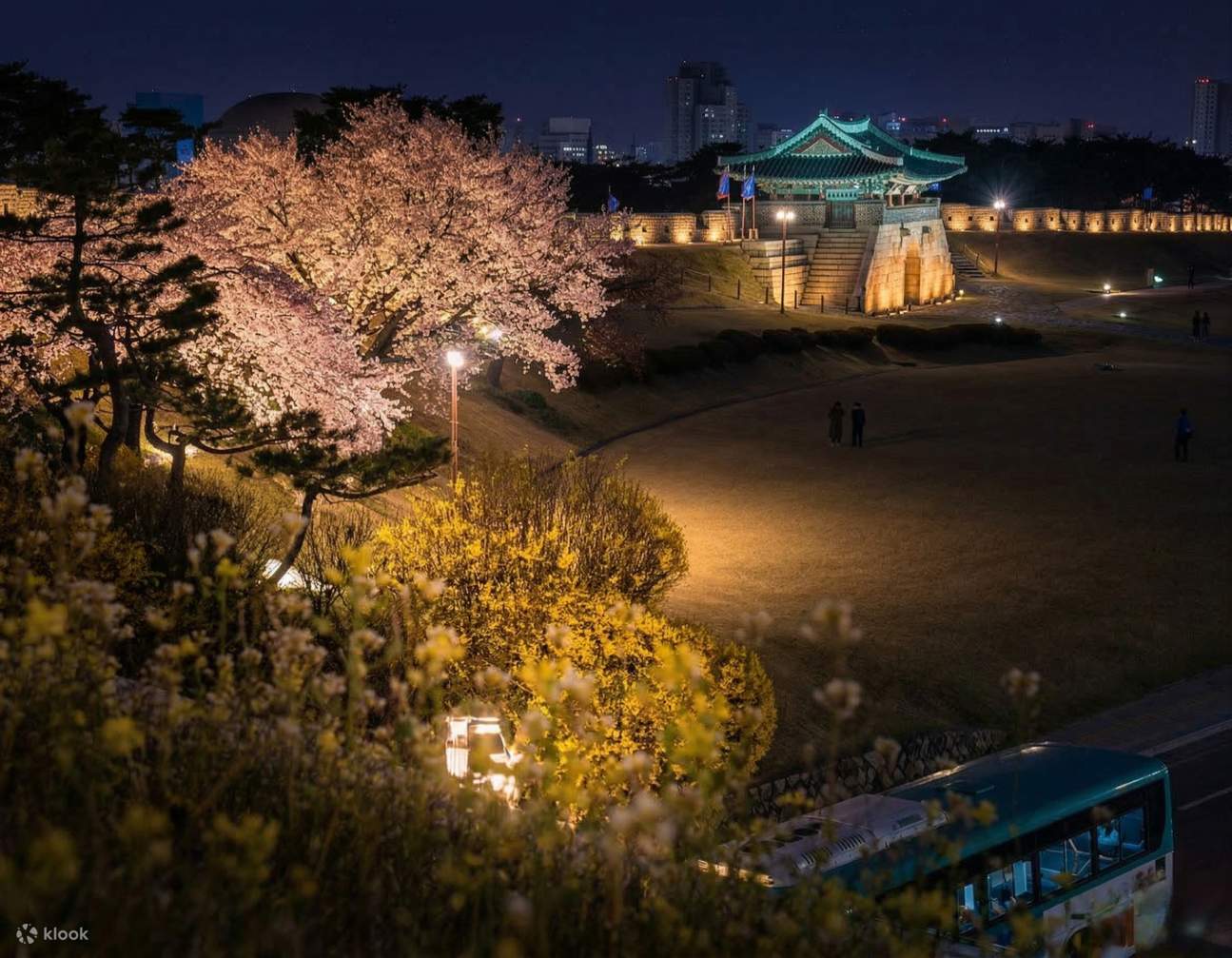 [Night Tour] Suwon Cherry Blossom Hidden Spot & Hwaseong Fortress ...